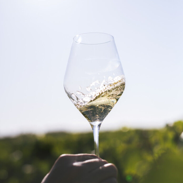 VIGNERONS, COOPÉRATIVES, MAISONS : QUELLE STRATÉGIE DÉPLOYER POUR MATCHER AVEC LES (NOUVELLES ...